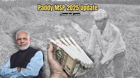 Paddy Msp 2025 Farmers Set To Receive Double Benefits Directly In Their Accounts Check This