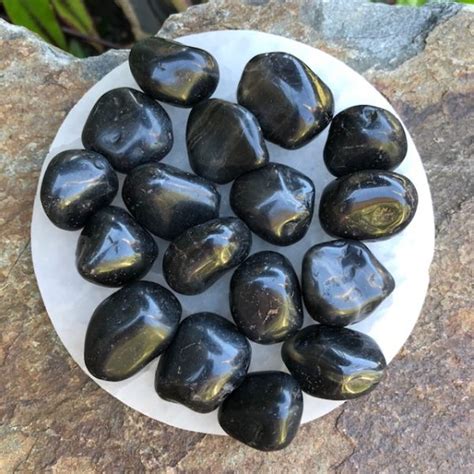 Black Onyx Tumbled Crystal Divine Empress