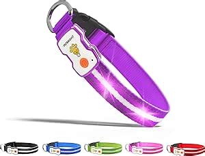 Petbright Rechargeable Light Up Led Dog Collar Weatherproof With 3