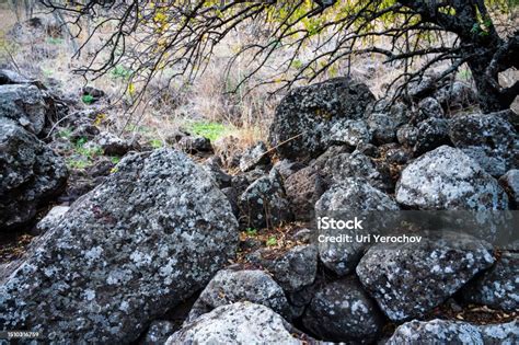 산 근처에 있는 큰 바위나 바위를 클로즈업합니다 큰 여러 가지 빛깔의 화강암 햇빛에 빛나는 주황색 입자가 있는 큰 회색 석조 구조물의 세부 사항 0명에 대한 스톡 사진 및