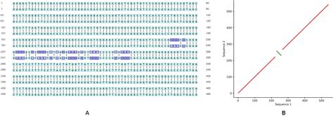 序列点阵图 （sequence dot plot） 云舟生物