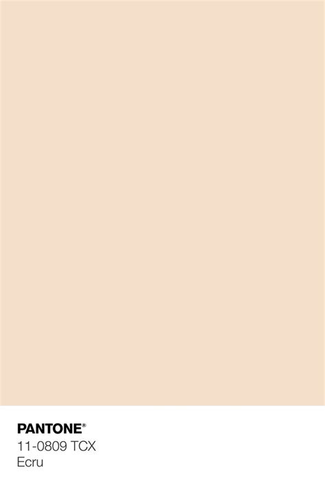 Pantone 11 0809 Tcx Ecru Wallpaper · Hazelnut Ecru Summer Color