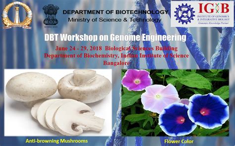 Dbt Workshop On “genome Engineering” From June 24 29 2018 Iisc