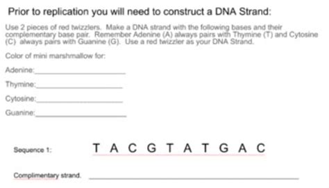 Dna Replication Lab And Notes Vocabulary Activity By Misty Moves Mountains