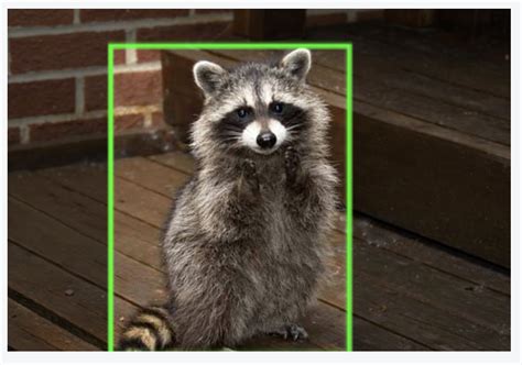 Why And How To Implement Random Crop Data Augmentation