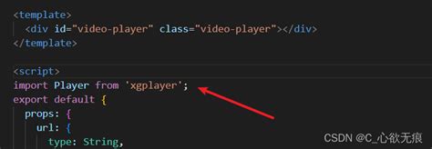 vue 使用xgplayer 西瓜播放器 插件教程 c 心欲无痕的博客 csdn博客 xgplayer