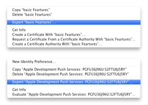 Ios How To Generate The P12 File For My Phonegap Build Stack Overflow
