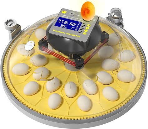 Incubators For Hatching Eggs 24 Egg Incubator With Automatic Egg Turning Digital Control 360
