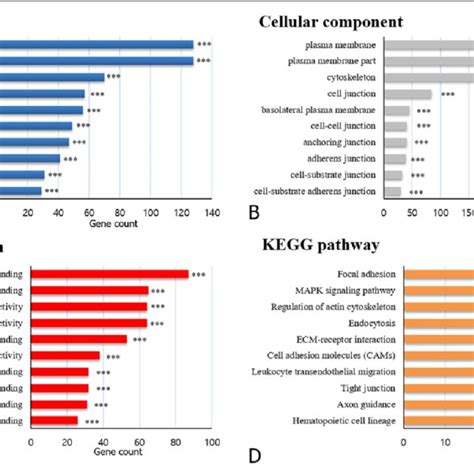 We Performed Gene Enrichment And Functional Annotation Analysis Using