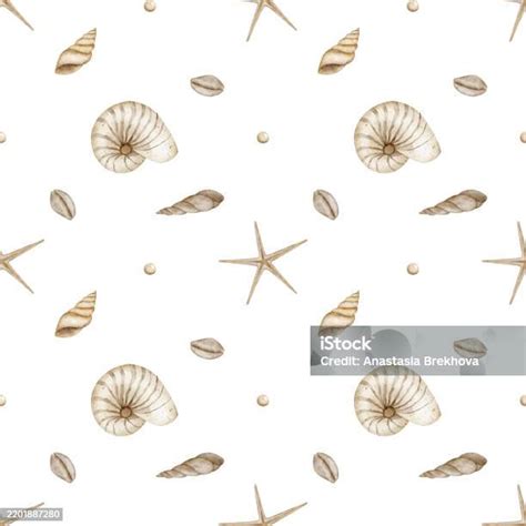 베이지 색 조개 무늬 단색 무늬 수채화 마린 프린트 빈티지 손으로 그린 일러스트레이션 불가사리 나선 파스텔 색상 고립 섬유 디자인 직물 포장 옷 벽지 갑각류에 대한 스톡