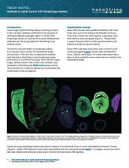 Methods To Verify GeoMx DSP Morphology Markers