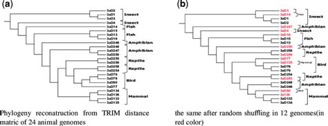 Testing Accuracy Using Classifier Trained At Training To Test Ratio Download Scientific Diagram