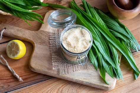 항아리 가득 Ribwort 질경이 잎 레몬 지팡이 설탕 허브 시럽을 준비 하 0명에 대한 스톡 사진 및 기타 이미지 0명 건강관리와 의술 건강한 생활방식 Istock