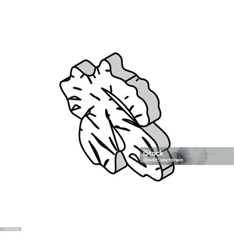 카 다몬 음식 허브 아이소 메트릭 아이콘 벡터 일러스트 레이 션 계피에 대한 스톡 벡터 아트 및 기타 이미지 계피 등측투영법 딜 허브 Istock