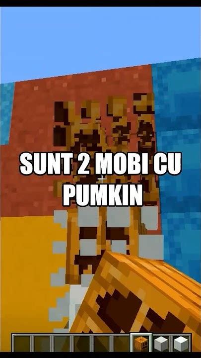 11 Chestii Interesante Despre Dovleci Youtube