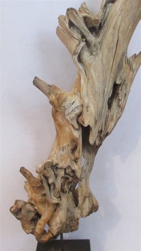 Large American Natural Driftwood Sculpture At 1stdibs Large Driftwood