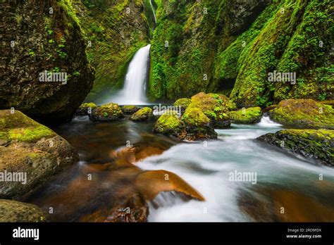 Wahclella Falls Columbia River Gorge National Scenic Area Oregon Usa