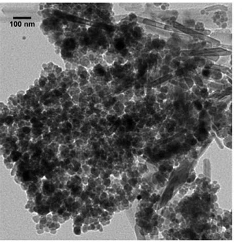 TEM Images Of A Fe O B Fe O SiO And C Nanoparticle Size Download Scientific Diagram
