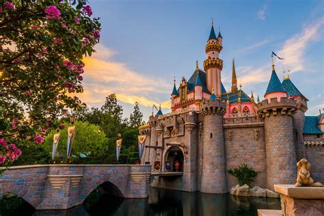 Disneyland Crowd Forecast Calendar Is It Packed Real Time Crowd Tracking Isitpacked Com