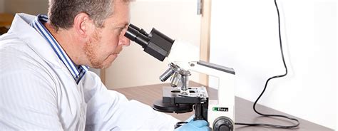 Importance Of Asbestos Testing Top Of The Line Services Ltd