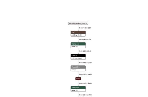 video classification tensorflow lite model i3d with 5d input on