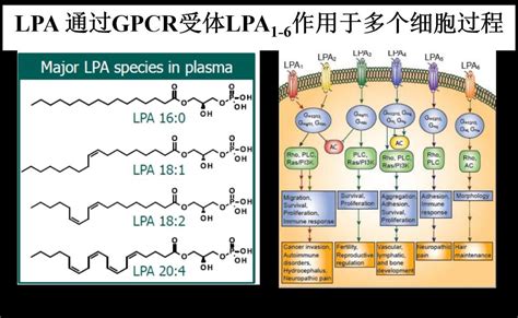 医药魔方 数十万医药人来这里查数据、找品种、找企业、抓机会