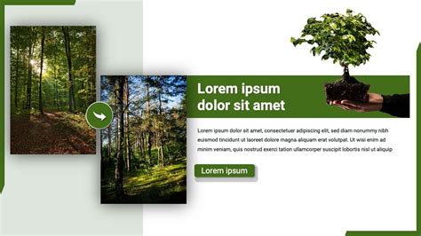 Free World Forestry Day Template Celebrating Our Forests Google Slides PPT Google Slides