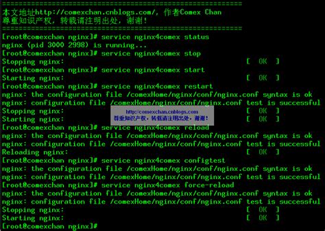 Linuxcentos65下nginx注册系统服务启动、停止、重启、重载等and设置开机自启 Comex 博客园