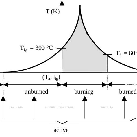 Simplified Temperature Curve Of A Cell Of The Domain Download Scientific Diagram
