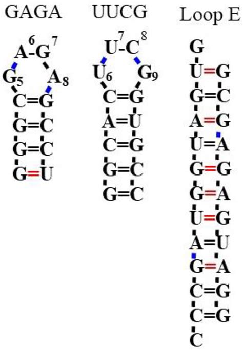 Figure 1 From Development And Testing Of The Opls Aa M Force Field For Rna Semantic Scholar