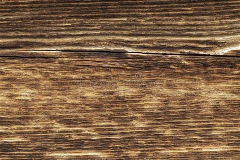 Texture Of A Wall Made Of Sun Bleached Wood Stock Image Image Of Backdrop Obsolete 255739285