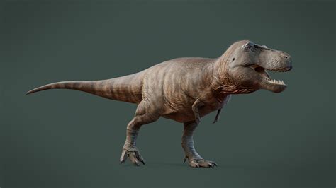 Realistic T Rex Art Lifelike Depictions Of The Ancient King