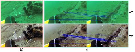 Ziqiang Zhengs Homepage