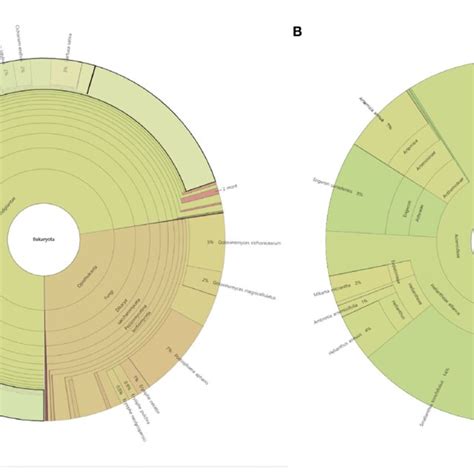 A Taxonomic Profile Of Blastp Results Against The Ncbi Nr Database With