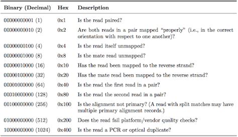 What Information Does Samtools Flagstat Provide