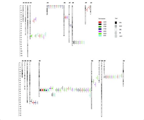 The Distribution Of Qtls For Growth Habit Related Traits On The Download Scientific Diagram