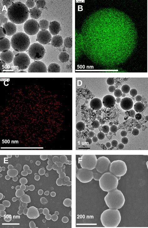 The Tem And Sem Micrographs Of The Pb Coated P4vp Ps Nanoparticles Download Scientific Diagram