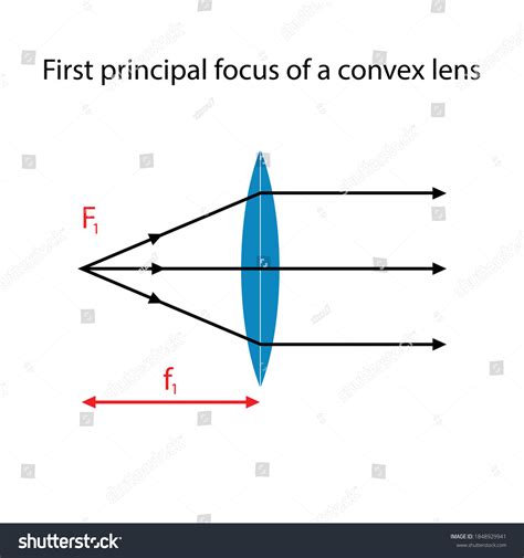 698 convex lens object 图片、库存照片和矢量图 shutterstock