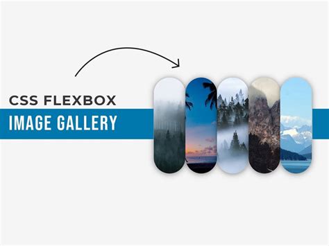 Css Flexbox Responsive Image Gallery By Divinectorweb On Dribbble