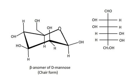 Beta Mannose