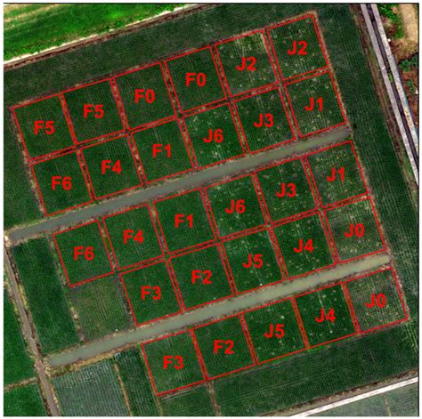 Demonstration Of Plot Distribution Plot Boundaries And Nitrogen Download Scientific Diagram