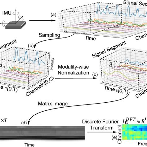 Illustration Of The Signal Representation Pipeline For An Individual