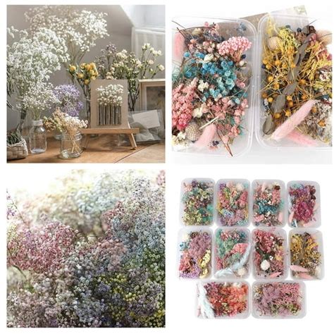 Uxcell Dried Pressed Flowers Natural Dried Flower Leave Assorted Real