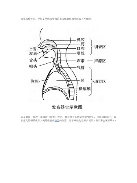 发音器官图解 发音方法文字讲解 Pdf