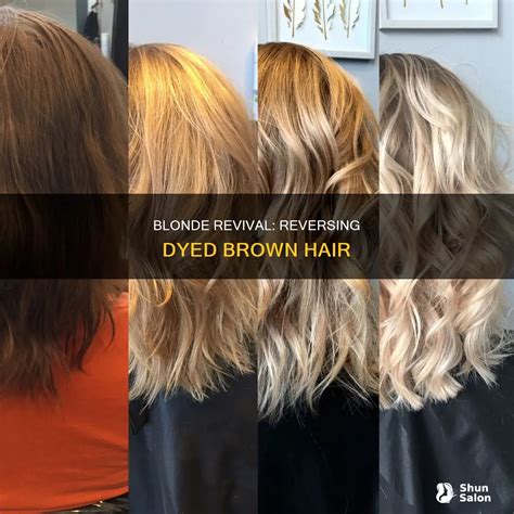 Blonde Revival Reversing Dyed Brown Hair Shunsalon
