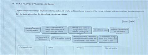 Solved Part A ﻿overview Of Macromolecule Classesorganic