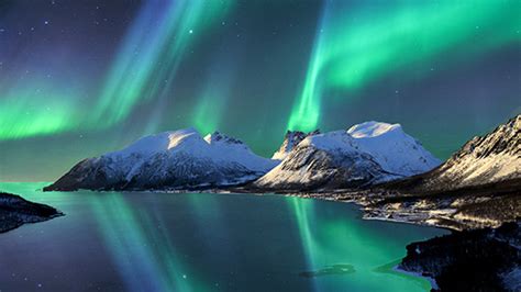 business transformed the nordics