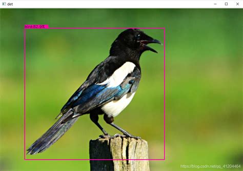 目标检测模型NanoDet超轻量速度很快介绍和PyTorch版本实践 腾讯云开发者社区 腾讯云