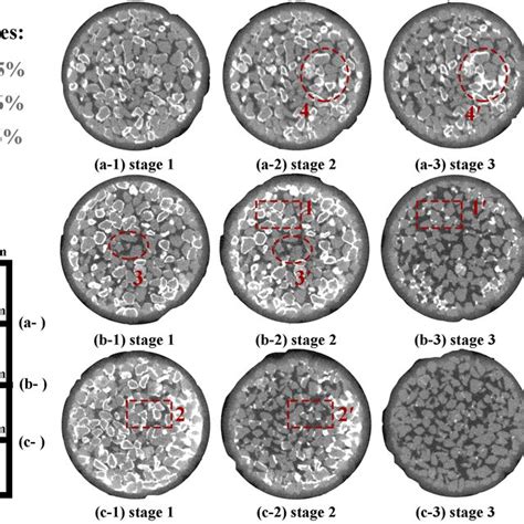 Vertical‐sectional View Of The Specimen During The Dissociation Process