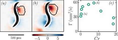 Colour Available Online Vorticity Map Calculated For C Elegans